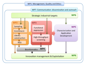 Metafluidics Workplan