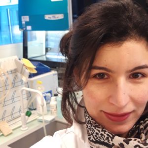 Metafluidics Objectives